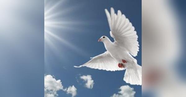 Lila Mary Graves Obituary - Visitation & Funeral Information