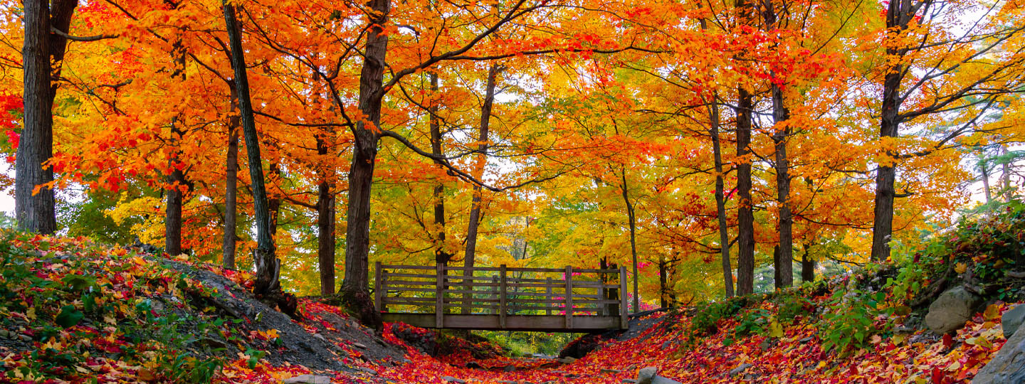 Upcoming Services | Anderson Funeral Homes - Ayer, MA