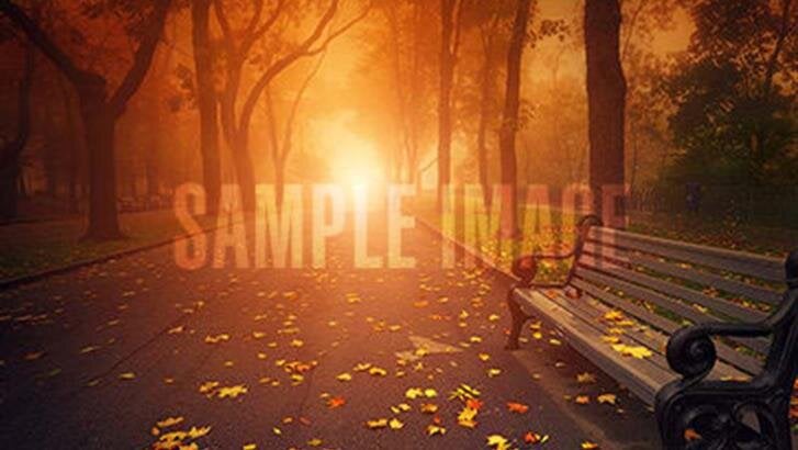 Modern Cremation Services with Dignity and Care | Moles Farewell ...