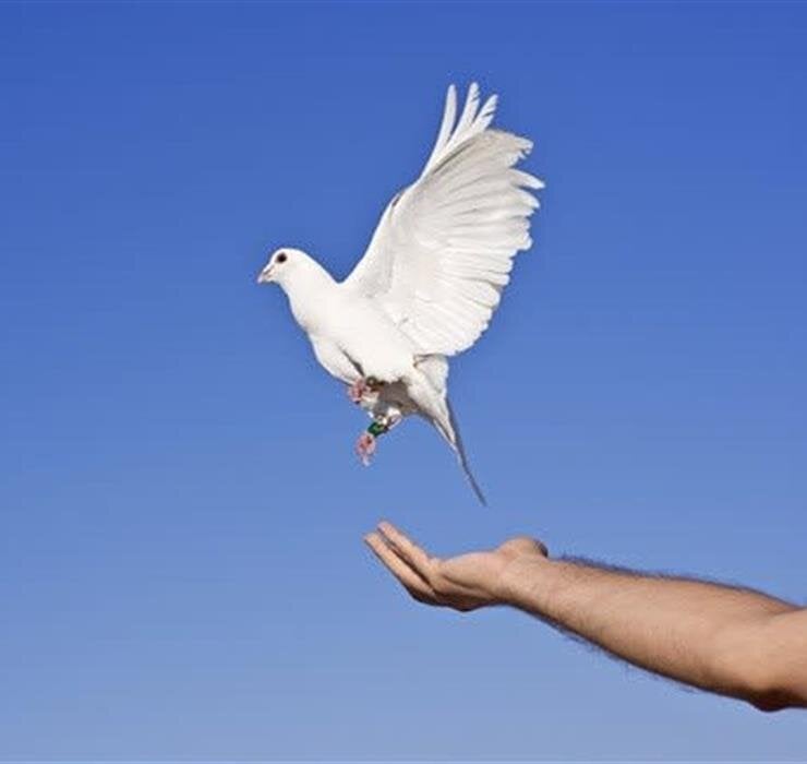 What We Do | Beth Israel Memorial Chapel