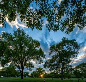 Cemetery Options | Spring Hill Funeral Home & Cemetery - Nashville, TN