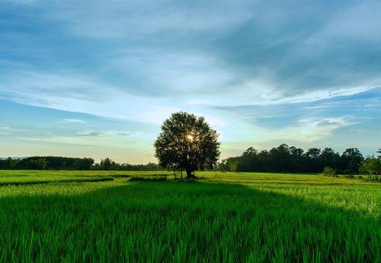 Locations | Trinity Mortuary - Del Rio, TX