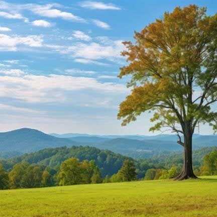 Brookside Memorial Gardens | Brookside Funeral Home and Memorial ...
