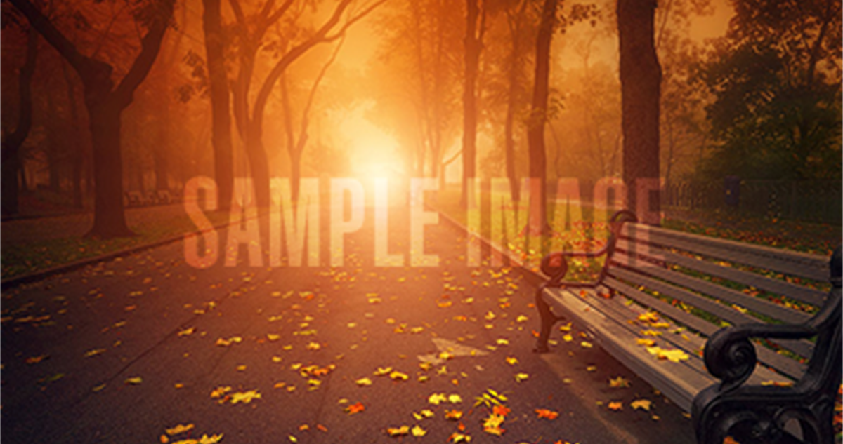 Services | Davenport Funeral Home