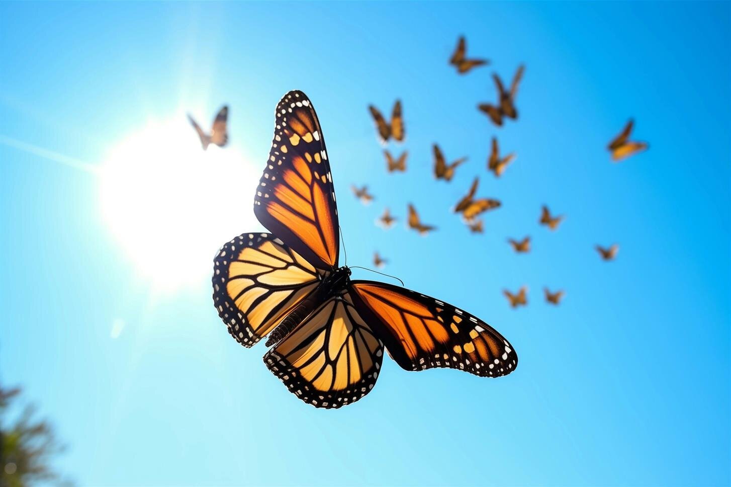 Service Enhancements | Roberts of Ocala Funerals and Cremations - Ocala, FL