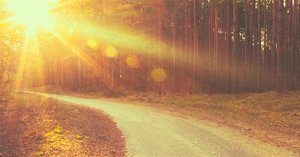 Your Cremation Specialist | Smart Cremation Memphis - Memphis, TN