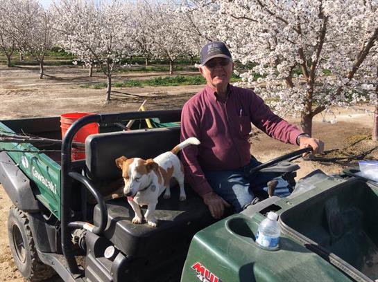 Click here to go to this photo