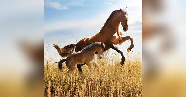 Obituary, Visitation & Funeral Information | Lewis Edward Slater Jr.