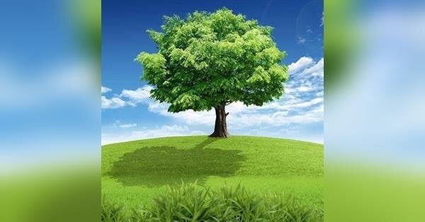 Tribute Wall | Robert Jesse Partlow