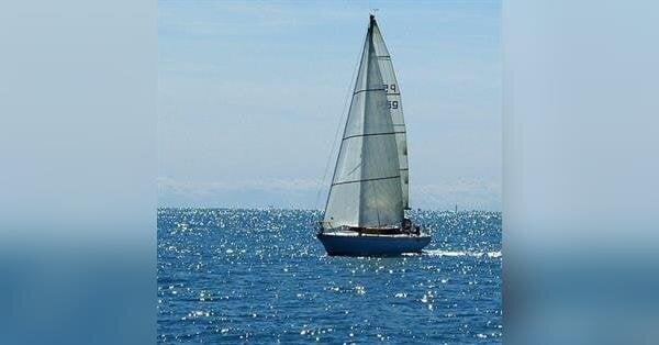 Tribute Wall | Robert Lichtenberg