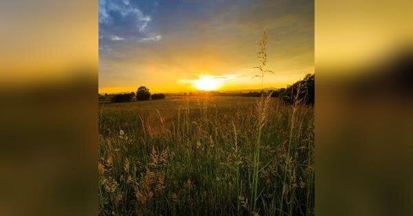 Mr Richard Baugh Obituary - Visitation & Funeral Information