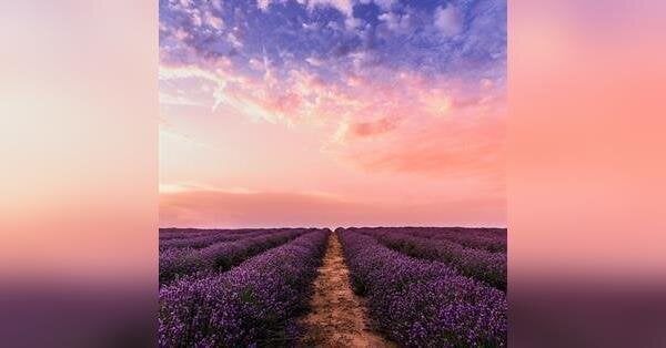 Tribute Wall | Nancy Erin Howard-Gauthier