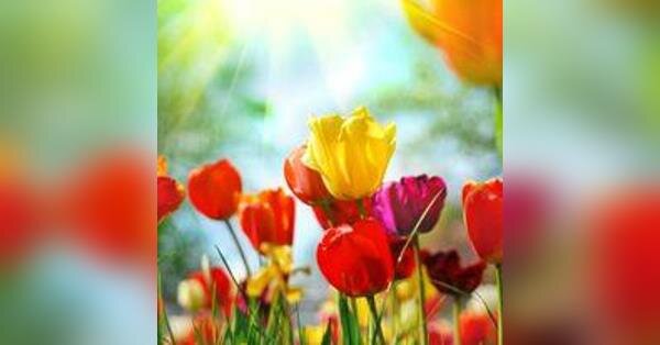 Obituary, Visitation & Funeral Information | Mary Alice Inzer