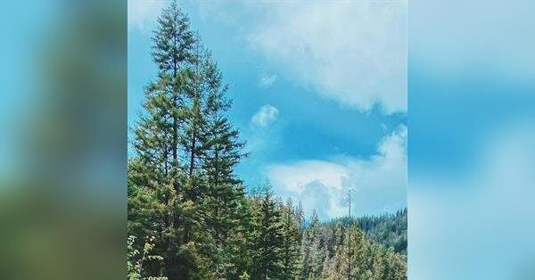 Tribute Wall | Jason Lee Fowler