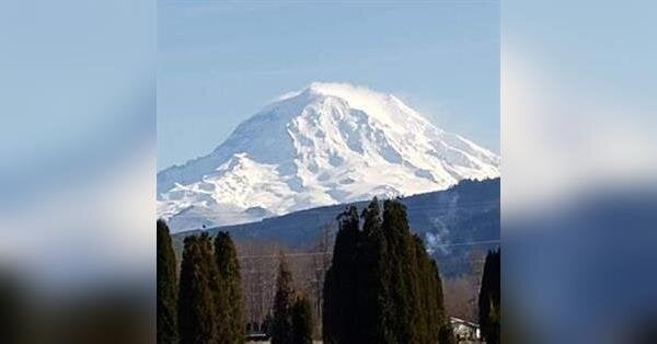 Tribute Wall | Levi Michael Moser