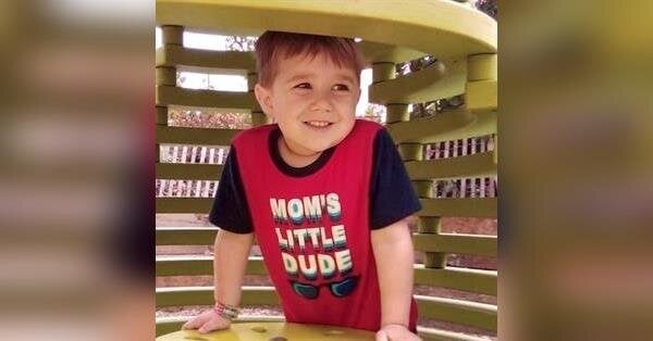 Tribute Wall | Gavin Poppy