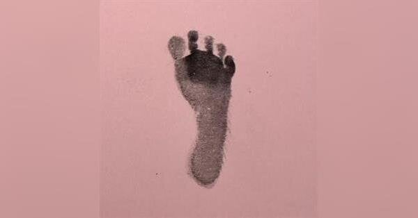 Tribute Wall | Ada Jane Smith